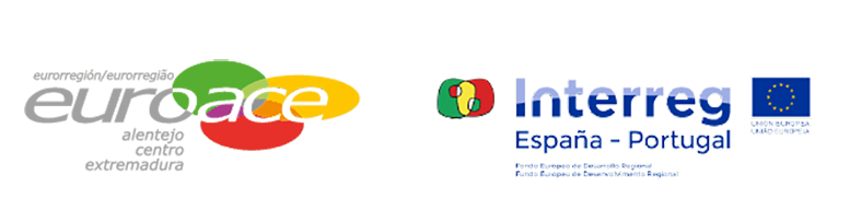 Estratégia Aldeias Bauhaus EUROACE – RETHINK Research Group